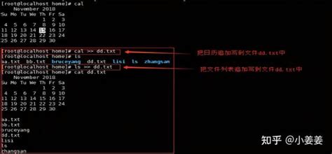 Linux最常用的30个命令适合初学者练习 知乎