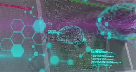 Animation Of Chemical Formulas And Data Processing Over Brain And Woman Eye Stock Video Video