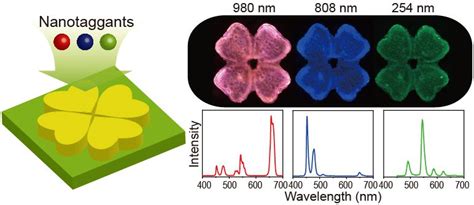 Encrypting Anti Counterfeiting Patterns With Multi Mode Luminescent Nanotag Gants