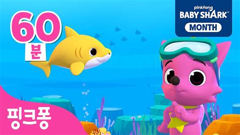 핑크퐁 아기상어와 바닷속으로 놀러가요🌊ㅣ원조 상어 가족부터 다양한 상어 가족까지🦈ㅣ 모음집ㅣ아기상어 무한반복ㅣ8월은 아기상어의 달ㅣ 체조친구 ㅣ핑크퐁 인기동요 Youtube