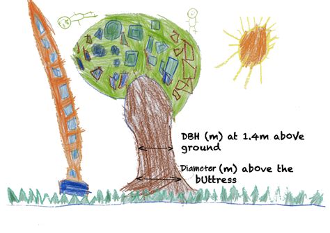 TPZ Calculator Tree Diameter TREETEC