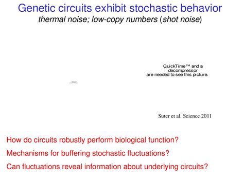 systems level modeling of genetic circuits gene a protein a protein b ppt download