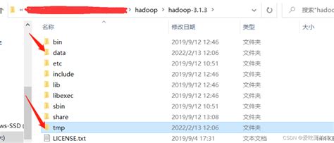 大数据hadoop之——部署hadoophivemysql环境（window11）hadoop Mysql Csdn博客