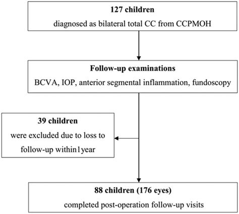 Flowchart Of Patient Selection Cc Congenital Cataract Download Scientific Diagram