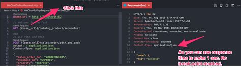 Debugging Not Working When Sending Request · Issue 398 · Huachao