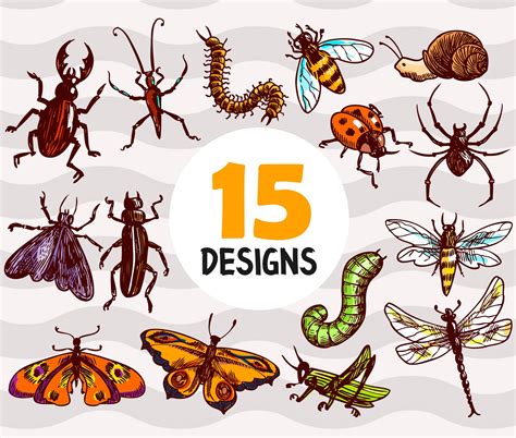 Insect Sketch Svg Insect Svg Bug Svg Insects Svg Insect Clipart Dragonfly Svg Insect