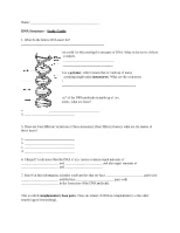 Study Guide Unit DNA Structure Name DNA Structure Study Guide What Do The Letters