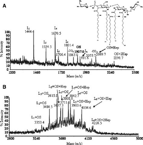 Negative Ion Maldi Mass Spectrum Of Intact Los Isolated Pre Lung Download Scientific Diagram