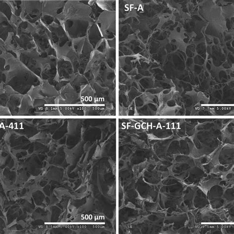 Attenuated Total Reflection‐fourier Transform Infrared Absorbance