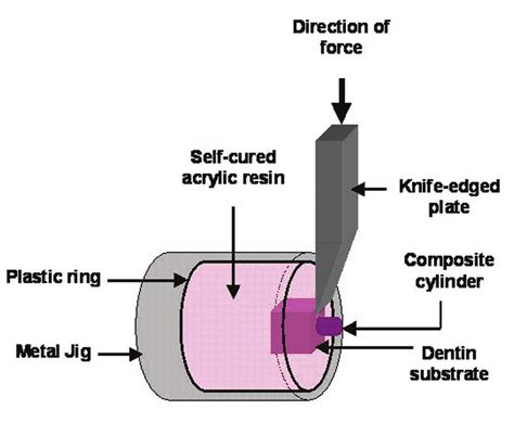 Performing The Shear Test Download Scientific Diagram