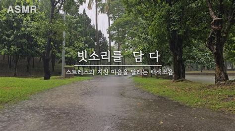 한적한 공원의 빗소리 Asmr 긴장 완화와 마음의 안정을 위한 백색소음 스트레스 해소 이명 완화 집중력 향상 음악 자연의 소리 비멍 Youtube