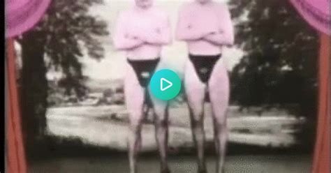 Monty Python Animation  On Imgur