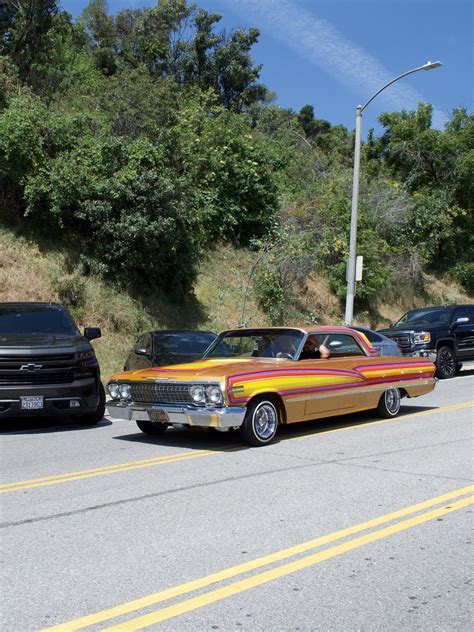 Caught Cruising Rlowriders