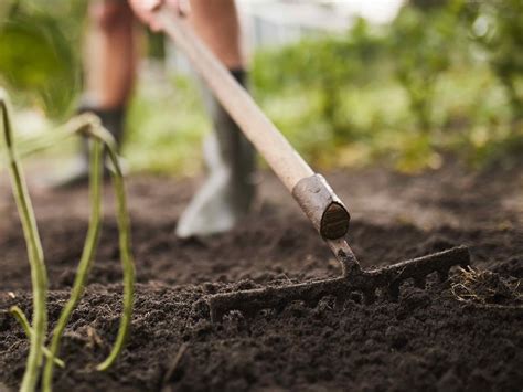 Soil Components Structure Classification And Importance For Life And