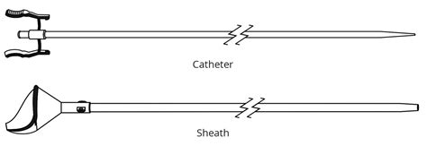Ureteral Access Sheath Aximed