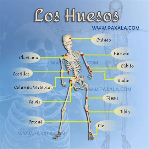 Los Huesos