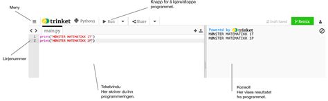 MØnster Nettkurs I Python