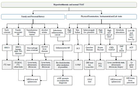 Ijms Free Full Text Hereditary Hyperferritinemia
