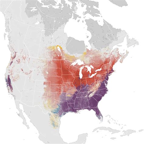 Ebird Status And Trends Matt Strimas Mackey