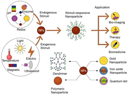 Schematic Diagram Of Stimuli Responsive Nanomaterials Used For Download Scientific Diagram