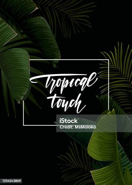 바나나 야자수 잎 빛나는 프레임과 텍스트 공간을 가진 어두운 열대 여름 디자인 벡터 전단지 배너 또는 카드 템플릿 여름 벡터 배경 열대 기후에 대한 스톡 벡터 아트 및 기타