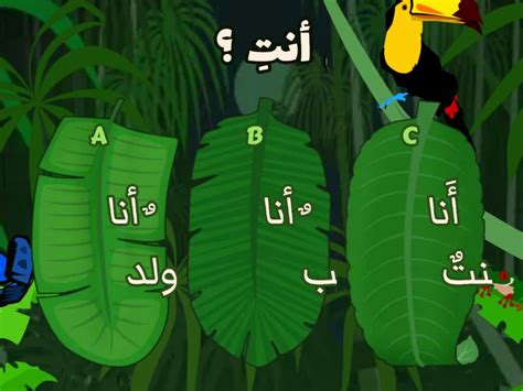 بازی با کلمات سؤالي مَنْ ،لِمَن و ضمائر و كاربرد انها ،محدوده درس