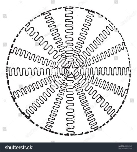 Frame Reference Physics Images Stock Photos Vectors Shutterstock