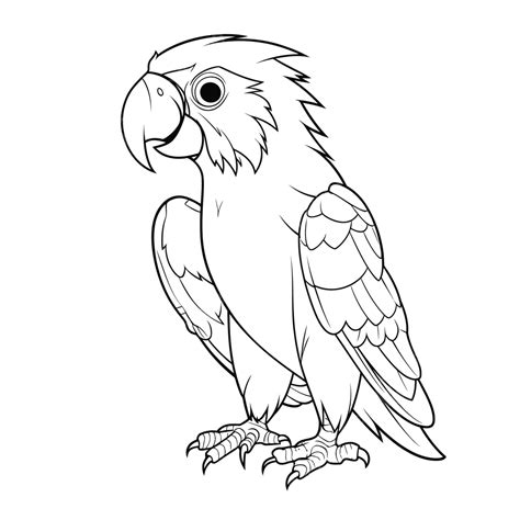 귀여운 앵무새 색칠 페이지 Pdf 무료 앵무새 색칠 페이지 어린이 개요 스케치 드로잉 벡터 잉꼬 그림 잉꼬 개요 잉꼬 스케치 Png 일러스트 및 벡터 에 대한 무료