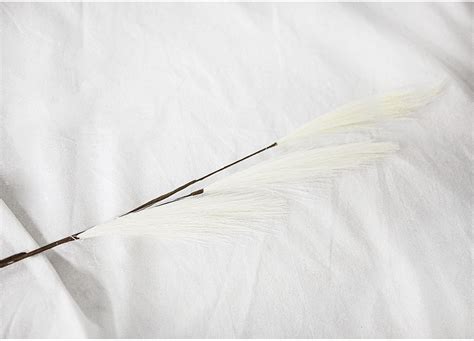 갈대 팜파스 그라스조화 감도 깊은 취향 셀렉트샵 29cm