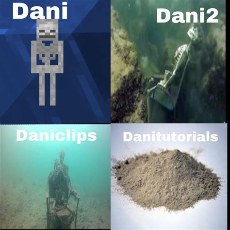 Dani R Danidev