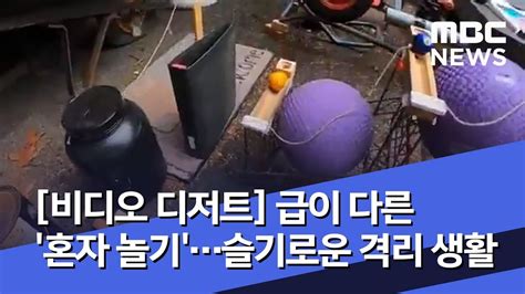 비디오 디저트 급이 다른 혼자 놀기슬기로운 격리 생활 20200520뉴스외전mbc Youtube