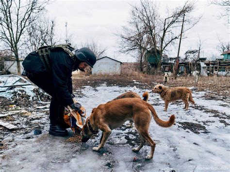 5 грудня відзначають Міжнародний день волонтера Букви