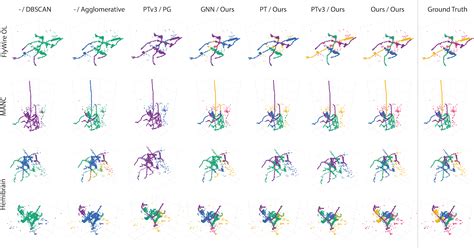 Vcg Harvard Global Neuron Shape Reasoning With Point Affinity Transformers