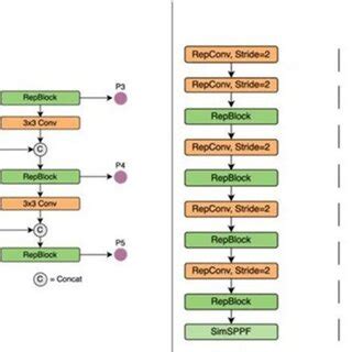 Backbone Neck Architecture Of YOLOv Download Scientific Diagram