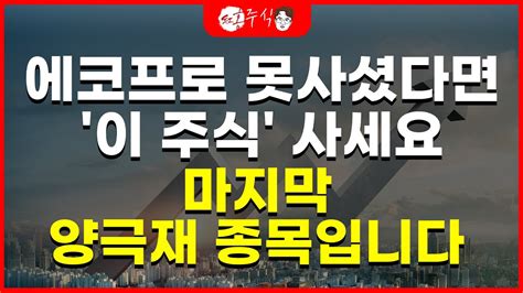 에코프로 너무 올라 못사셨다면 이 주식 사세요 마지막 양극재 종목입니다 Youtube