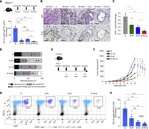 Apolipoprotein E Induces Pathogenic Senescent Like Myeloid Cells In