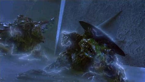 Witch Gremlin Gremlins Wiki Fandom