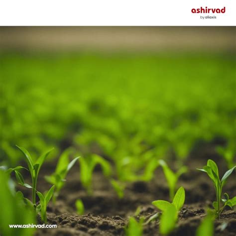 Rajeev Nayan Posted On Linkedin