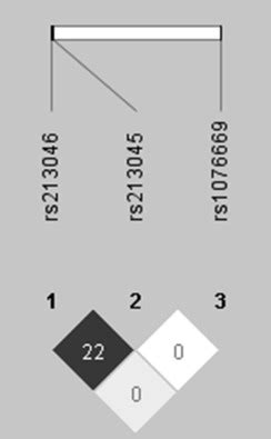 Pairwise LD Measures D And R2 Between The Markers Square Background Download Scientific