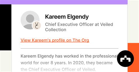 Kareem Elgendy Chief Executive Officer At Veiled Collection The Org