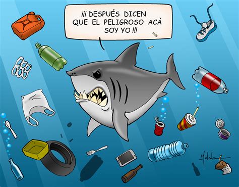 El 83 De Los Residuos Encontrados En Las Playas Bonaerenses Son Plásticos