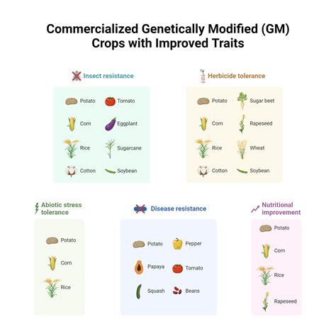 Commercialized Genetically Modified Gm Crops With Improved Traits