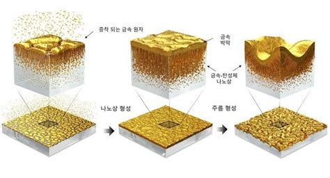 한국연구재단 고무처럼 늘어나는 첨단 바이오 신소재 개발 데일리안