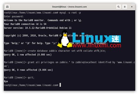 如何在 Debian 11 10 上安装 Zabbix 监控工具 Linux迷