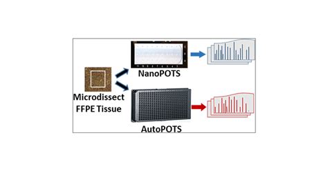 In Depth Mass Spectrometry Based Proteomics Of Formalin Fixed Paraffin Embedded Tissues With A