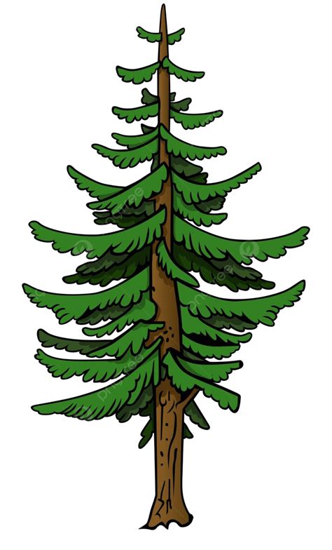 Coniferous Tree Illustration Cartoon Vector Vector Illustration