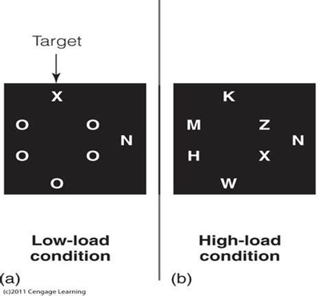 Cog Nect 6 Attention Intro Flashcards Quizlet