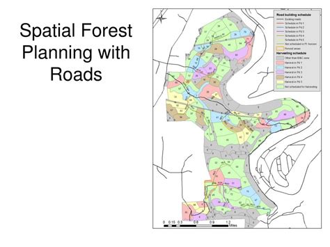Ppt Spatial Forest Planning With Integer Programming Powerpoint