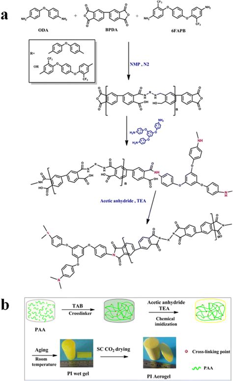 A Synthesis Of Polyimide Aerogels And B A Diagram Illustrating The