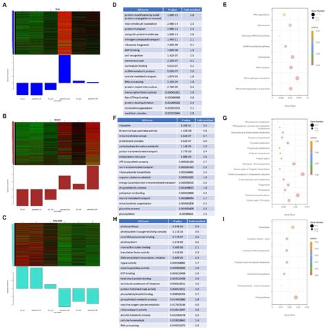 Frontiers Comparative Transcriptome Profiling Reveals The Importance
